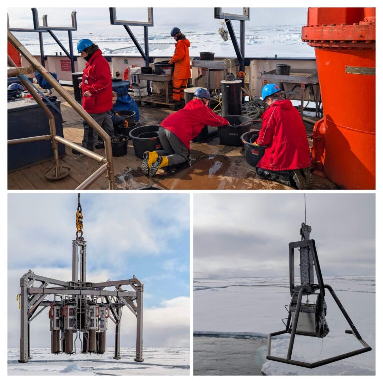 Arktis 2025 – AWI Polarstern Expeditionen